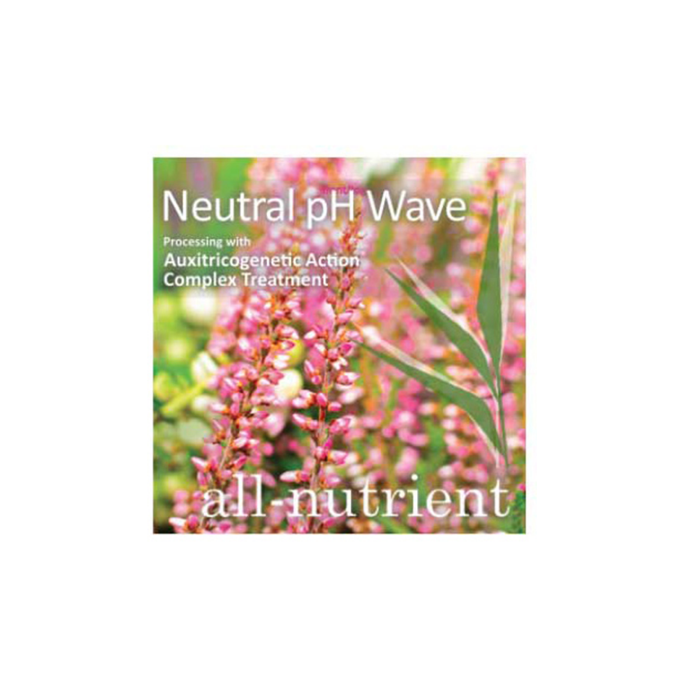 ALL-NUTRIENT NEUTRAL pH WAVE - HTB BEAUTY